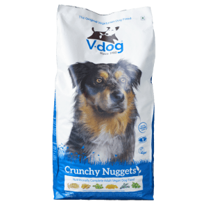 Home | V-dog